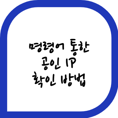 명령어 이용한 나의 공인 IP(Public IP) 확인 - GoGoYeon